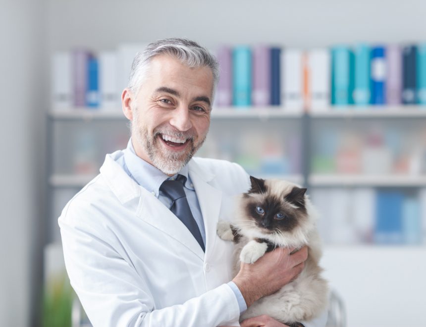 Adirondack Veterinary Service – Veterinarian in Rome, New York